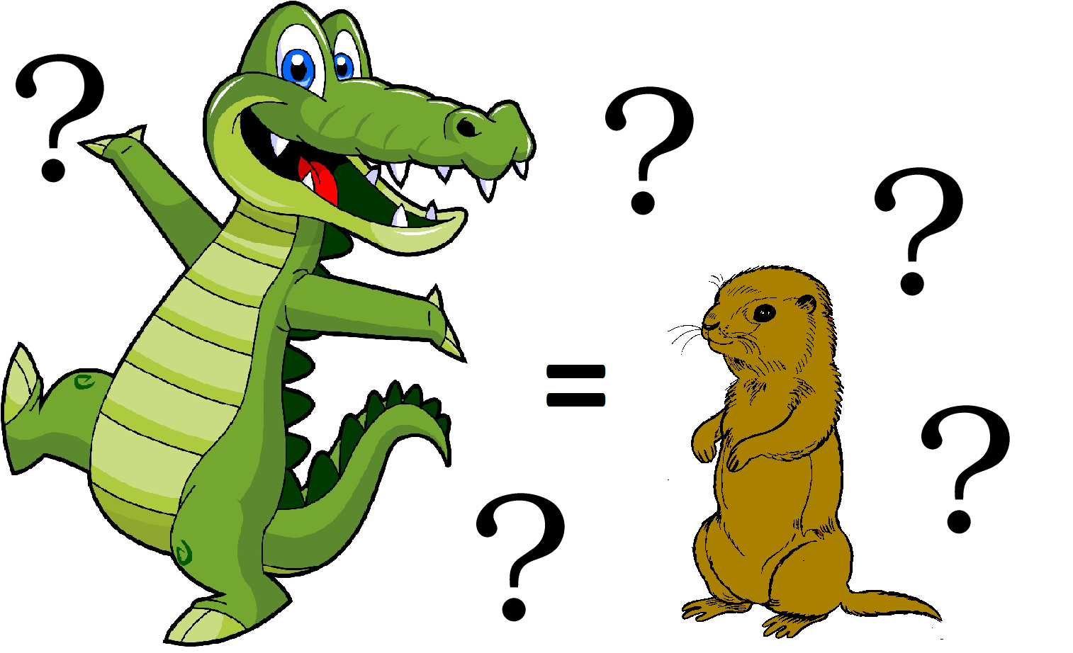 ‘Gators and Gophers, Sand and Snow - Cathedral of the Holy Family